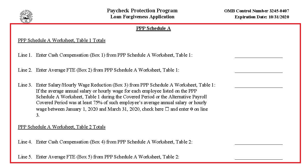PPP LOAN FORGIVENESS PROCESS – PART 2 How to Complete the SBA 3508 Loan ...